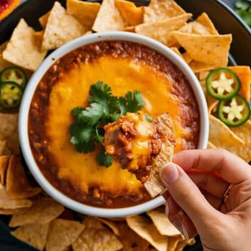Cheesy Rotel Chicken Enchilada Dip - Mr. Recipes